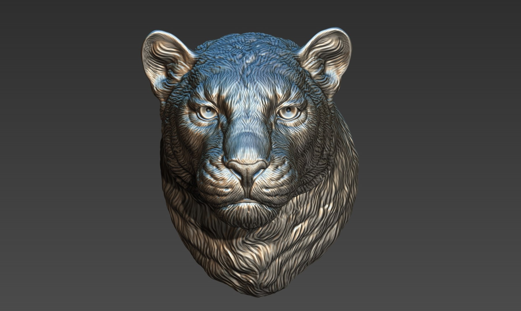 3D Panther leopard head model - TurboSquid 1837937