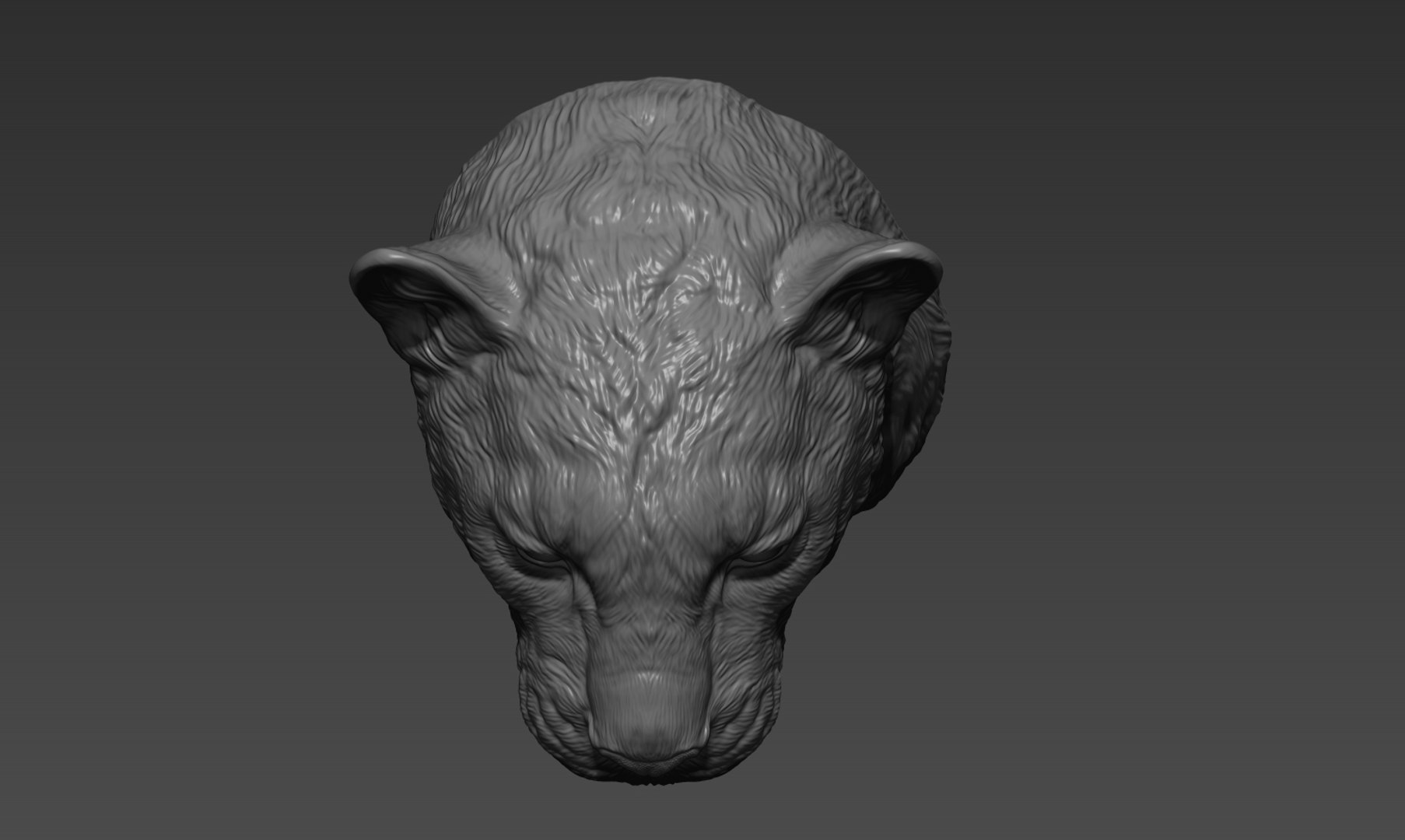3D Panther Leopard Head Model - TurboSquid 1837937