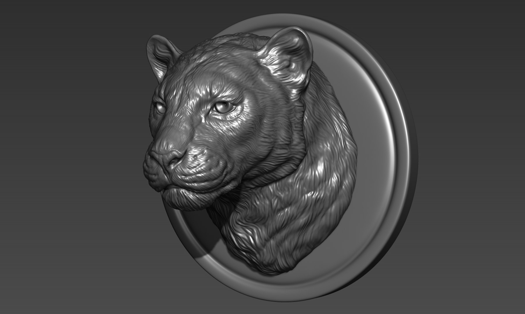 3D Panther Leopard Head Model - TurboSquid 1837937
