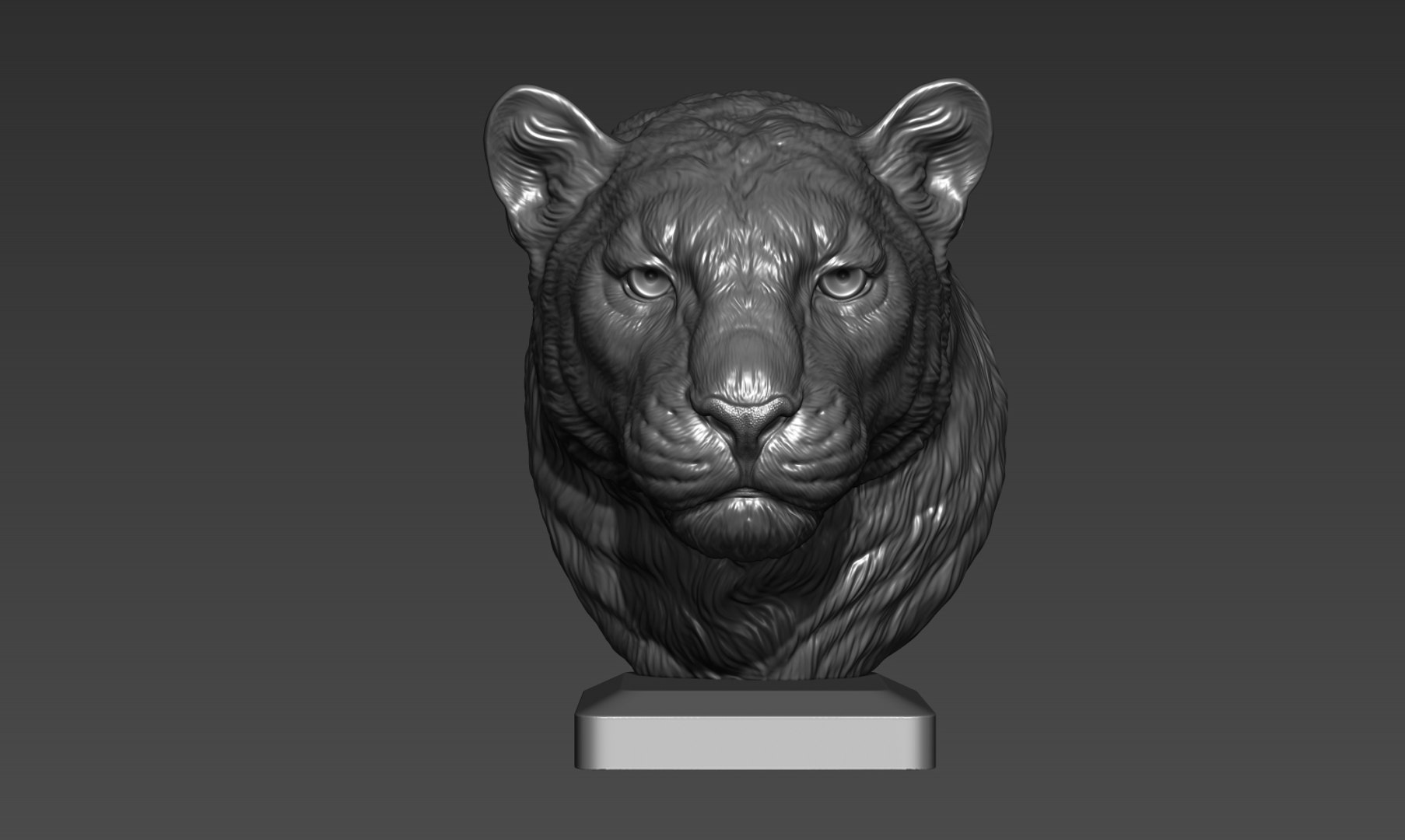 3D Panther leopard head model - TurboSquid 1837937