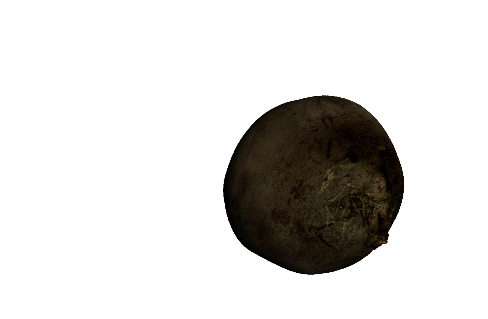 beetroot beet obj