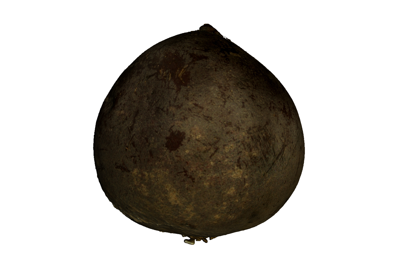 beetroot beet obj