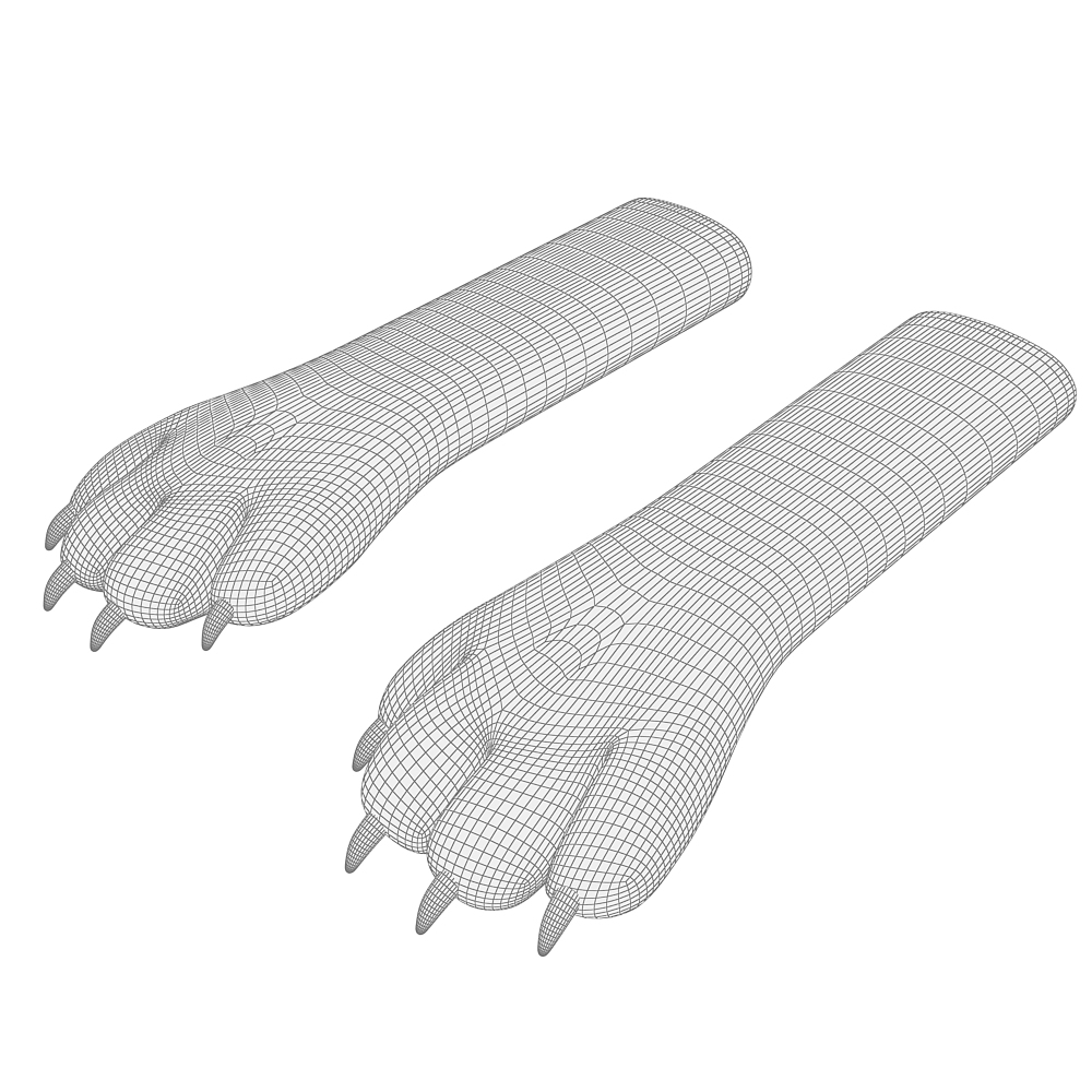 3D animal paw - TurboSquid 1346882