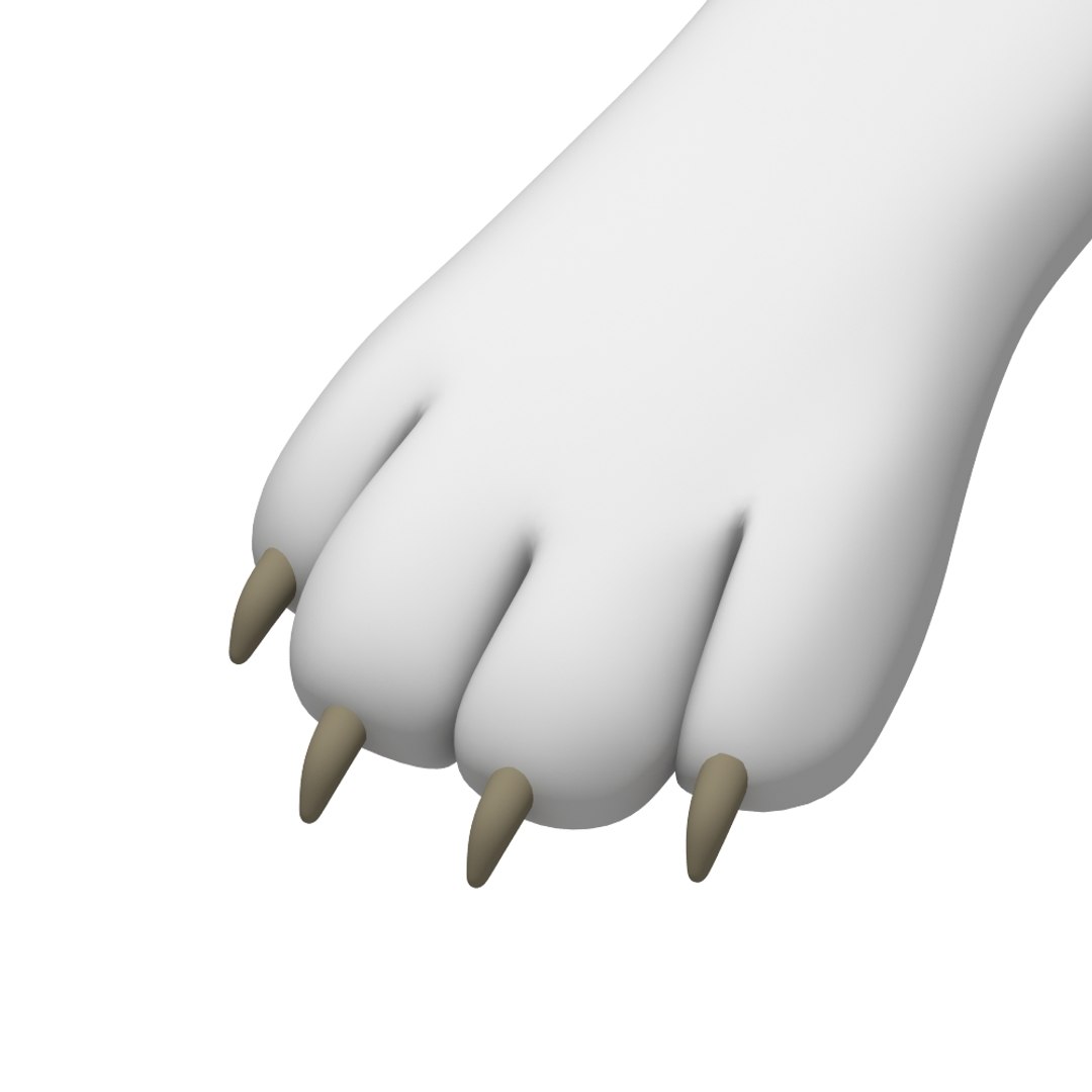 3D Animal Paw - TurboSquid 1346882