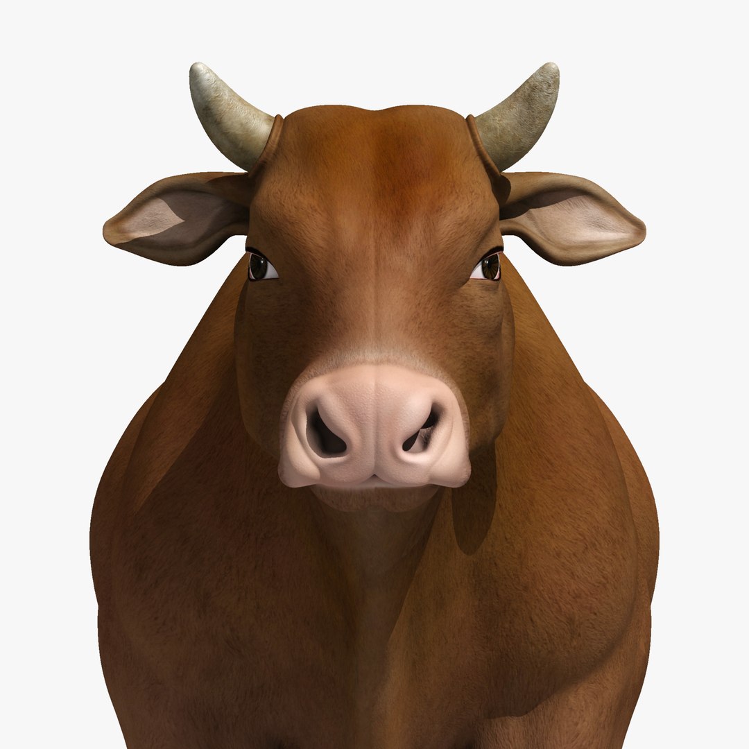 3D Cattle Bull Cow Buffalo - TurboSquid 1880785