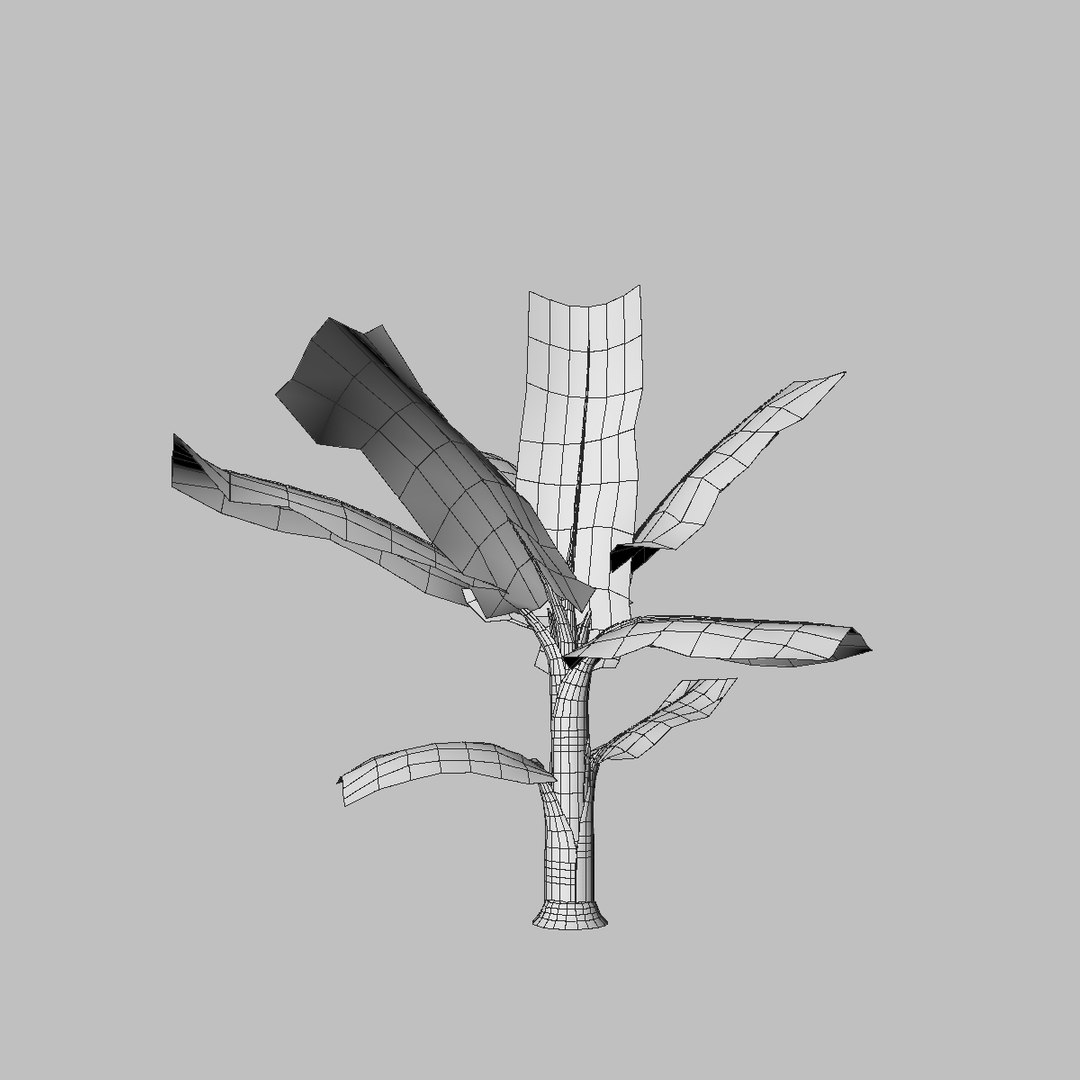 Banana Tree 3D Model - TurboSquid 1259527