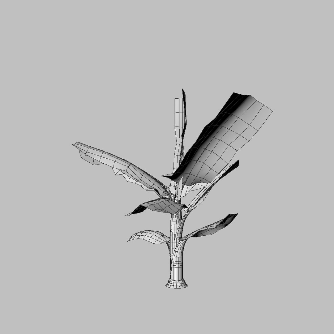 Banana Tree 3D Model - TurboSquid 1259527