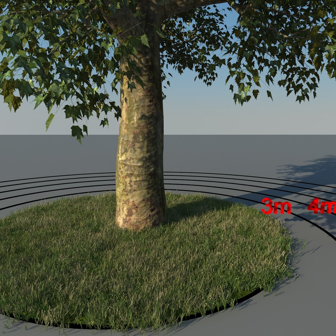 3d Platanus Tree Bark Model