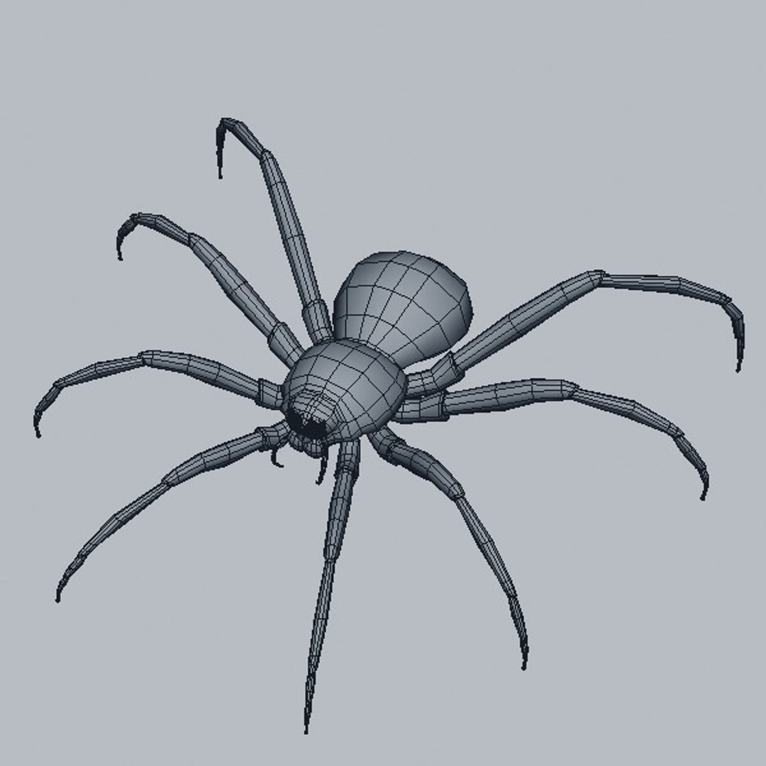 Spider 3d 3ds