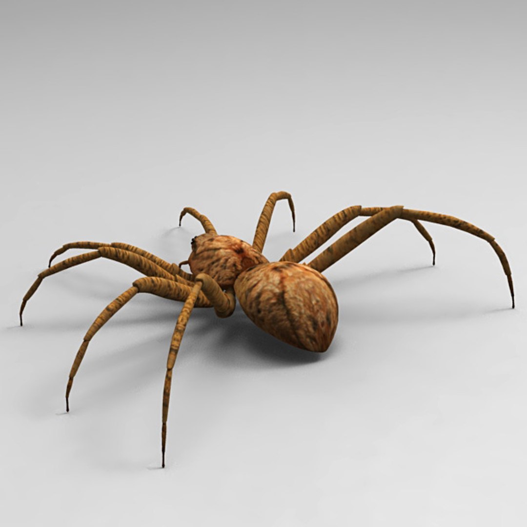 Spider 3d 3ds