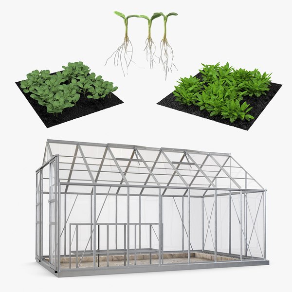house green greenhouse 3d model