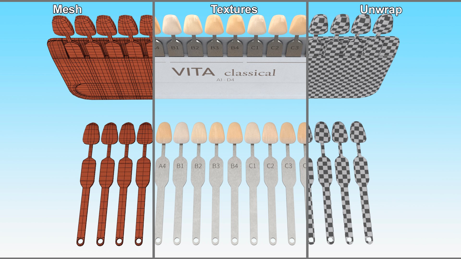 3D VITA Classical A1-D4 Shade Guide - TurboSquid 2202764