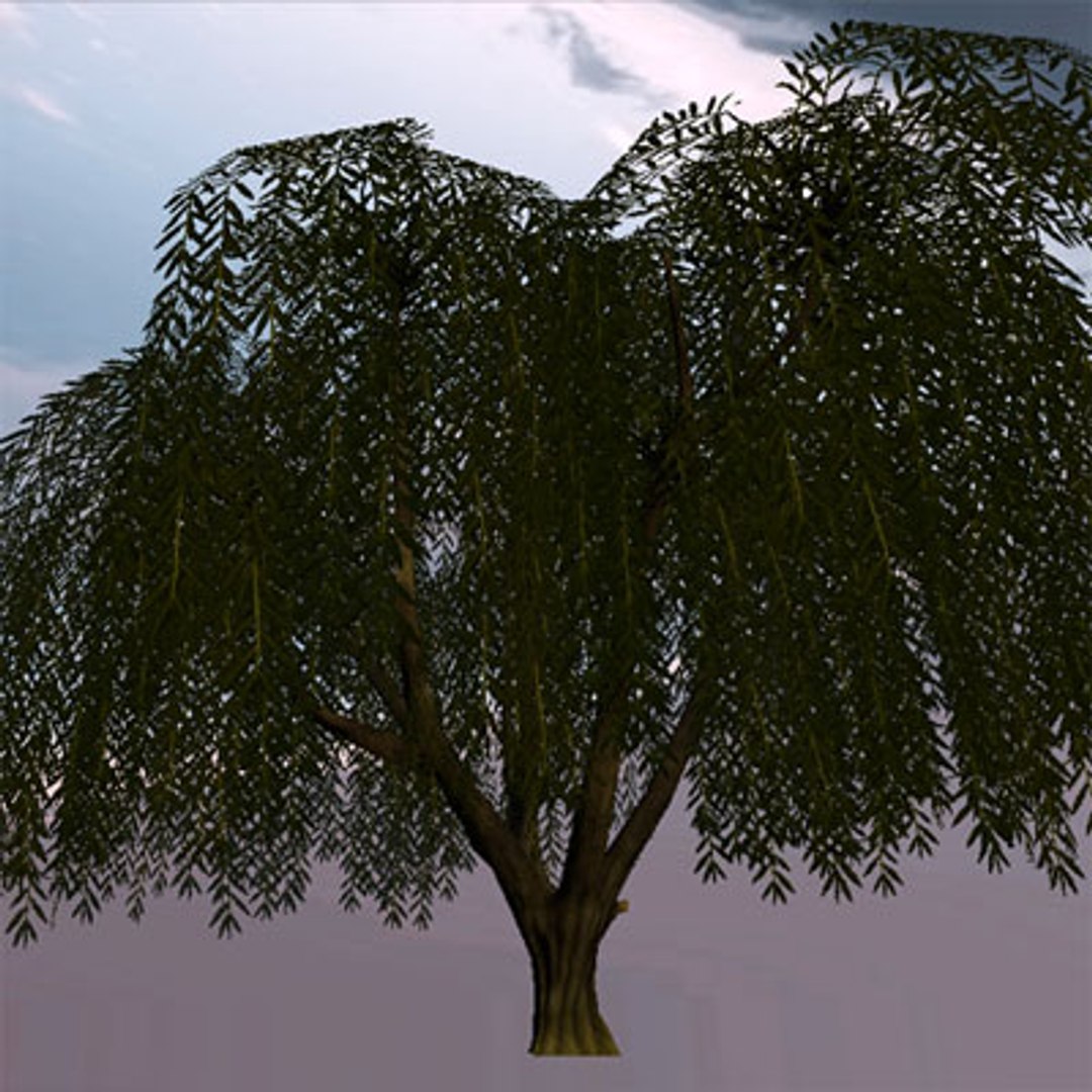 willow normal mapped max