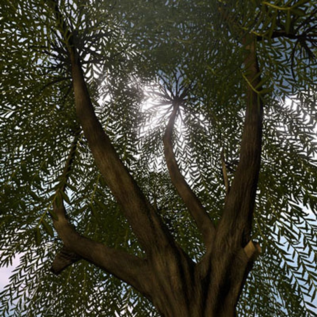 willow normal mapped max