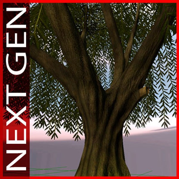Low Poly Willow Tree 3D Models for Download | TurboSquid