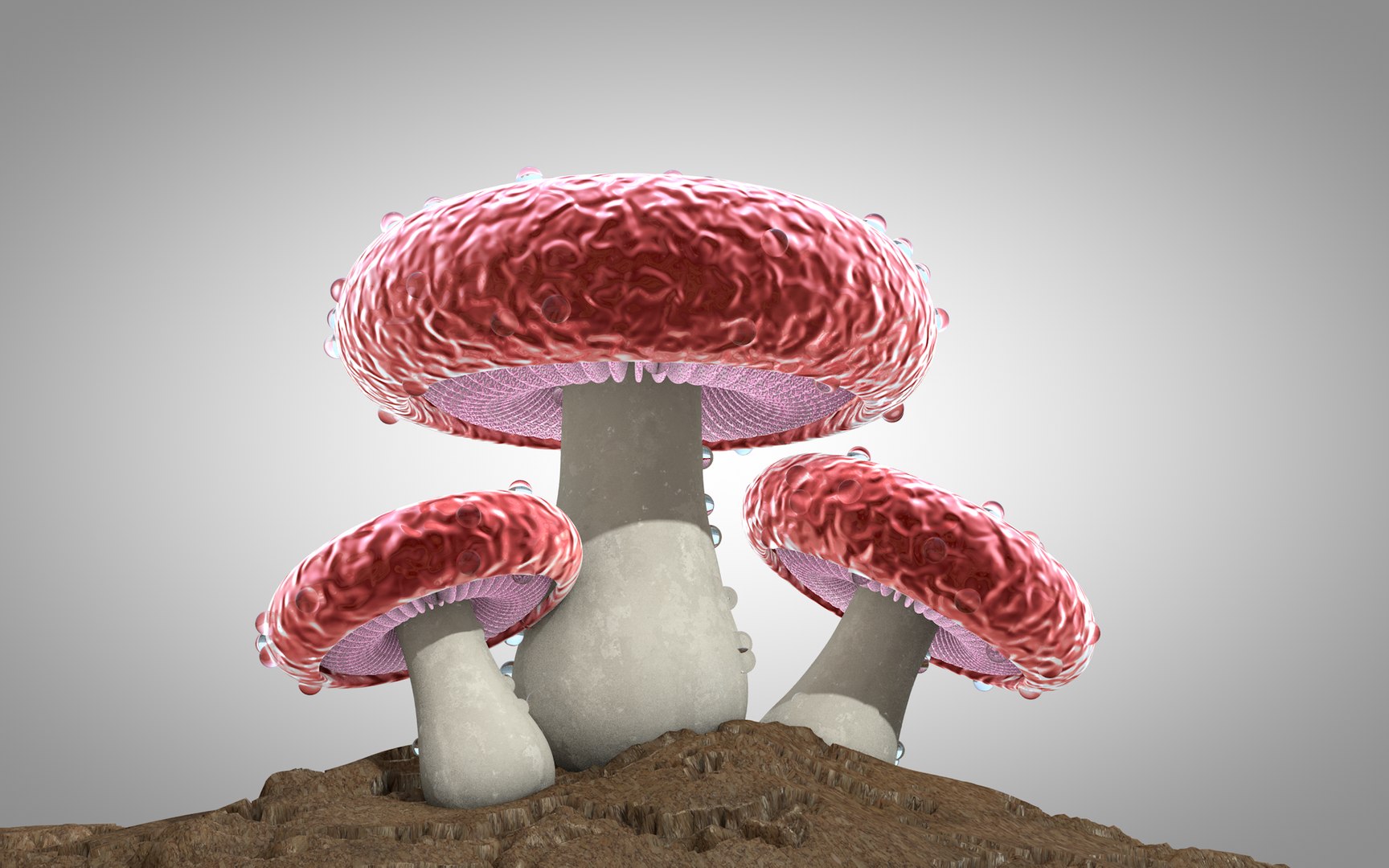 3d mushrooms