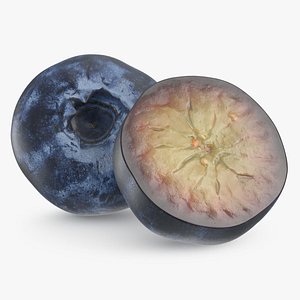 3D Blueberry Models | TurboSquid