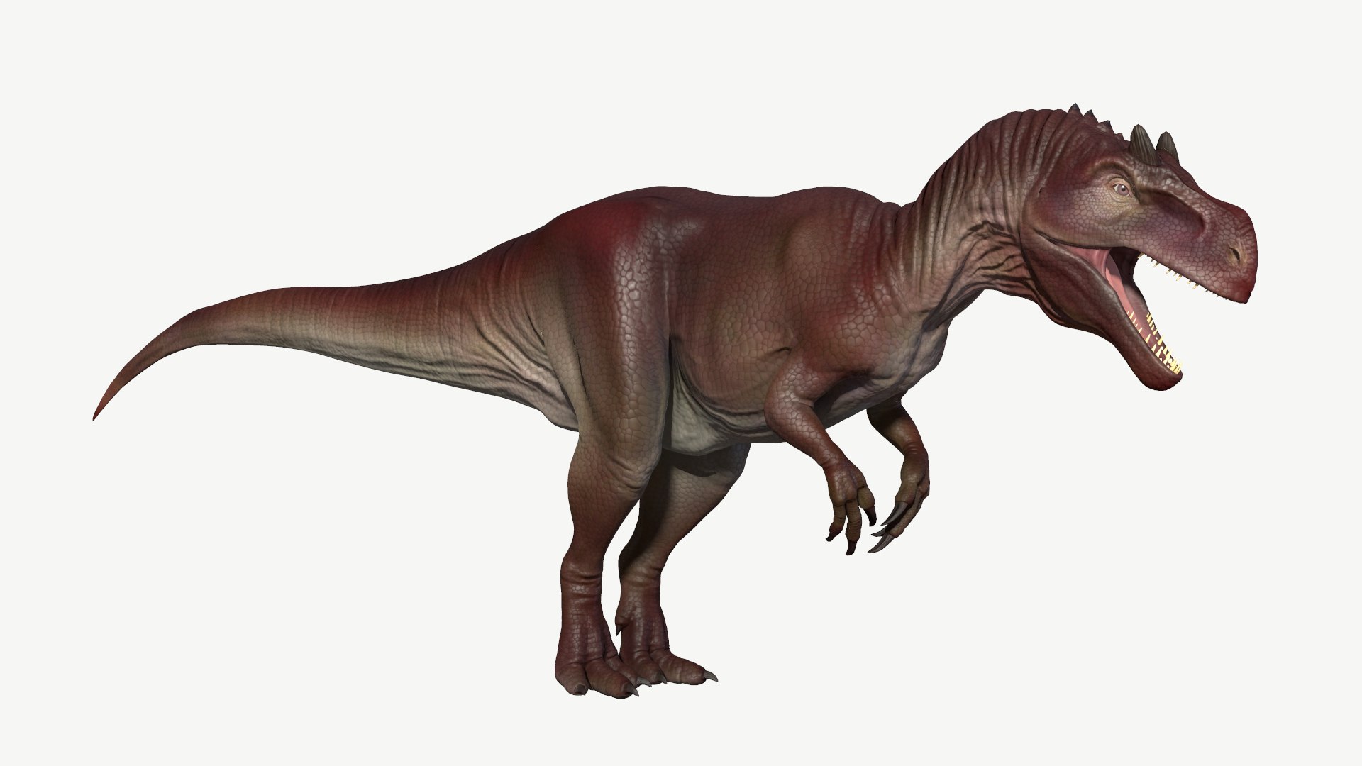 3D Allosaurus Model - TurboSquid 1154705