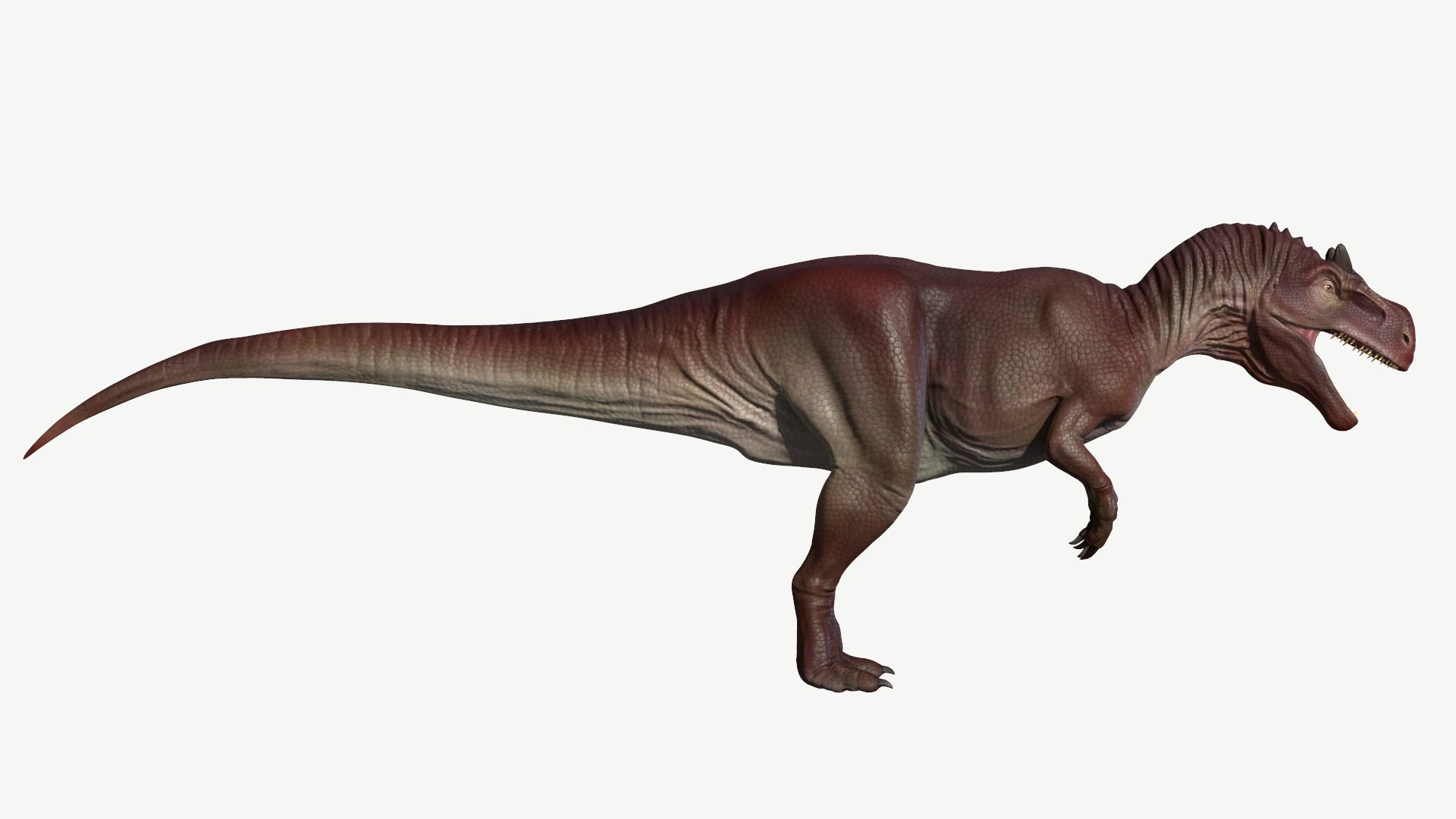 3D Allosaurus Model - TurboSquid 1154705