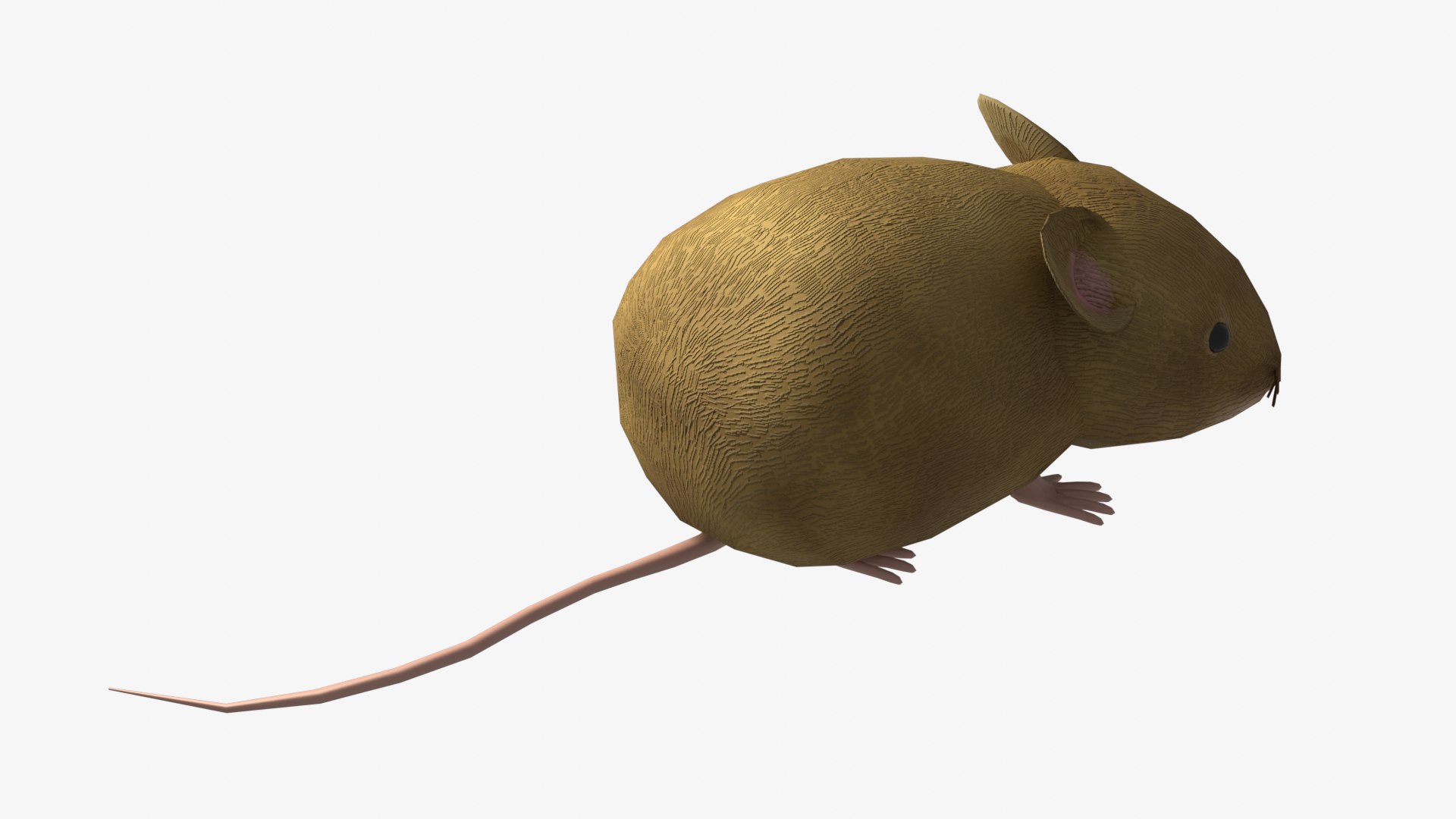 Free Vole, Wuehlmaus, Mouse 3D - TurboSquid 1986440