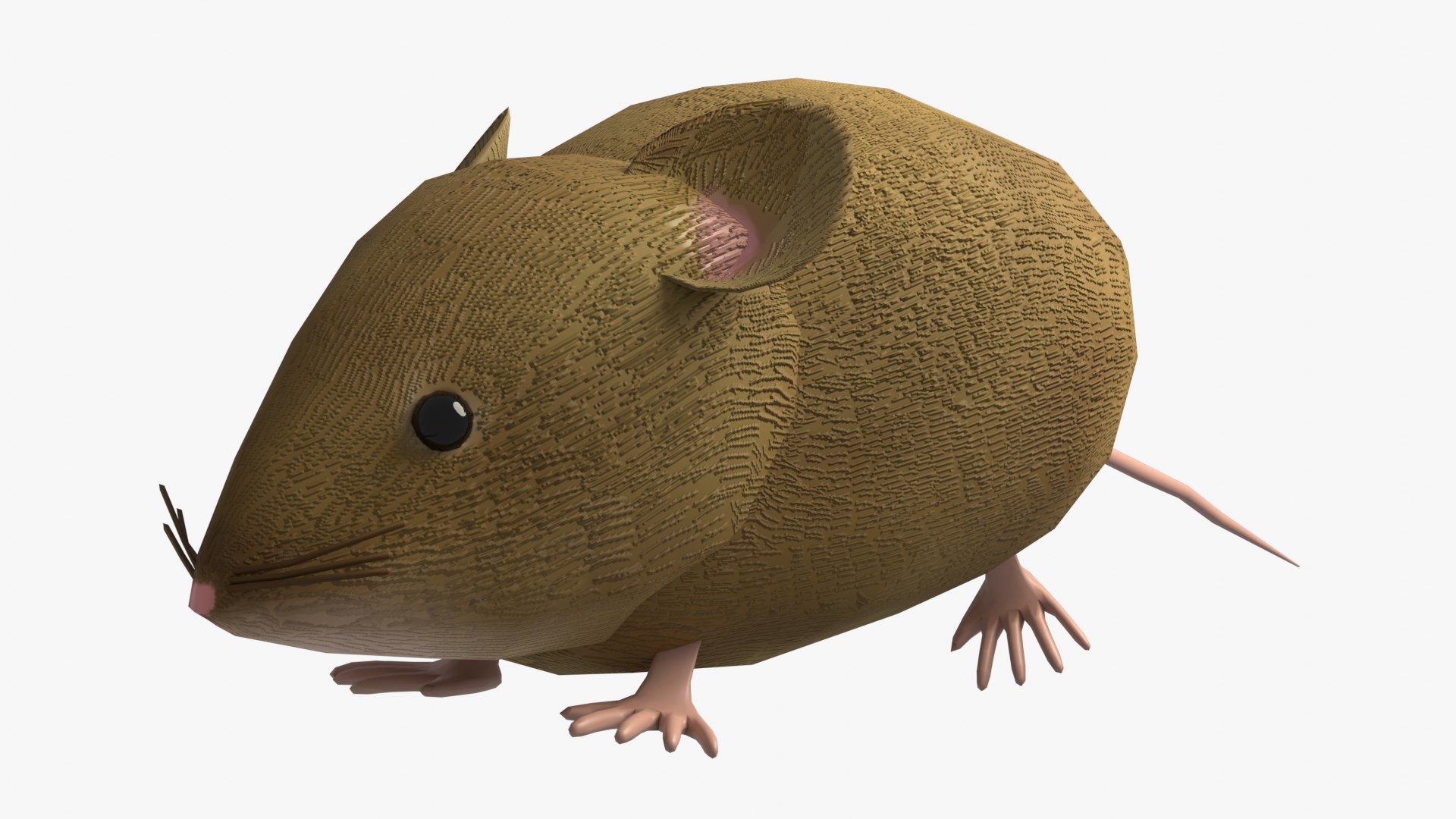Free Vole, Wuehlmaus, Mouse 3D - TurboSquid 1986440