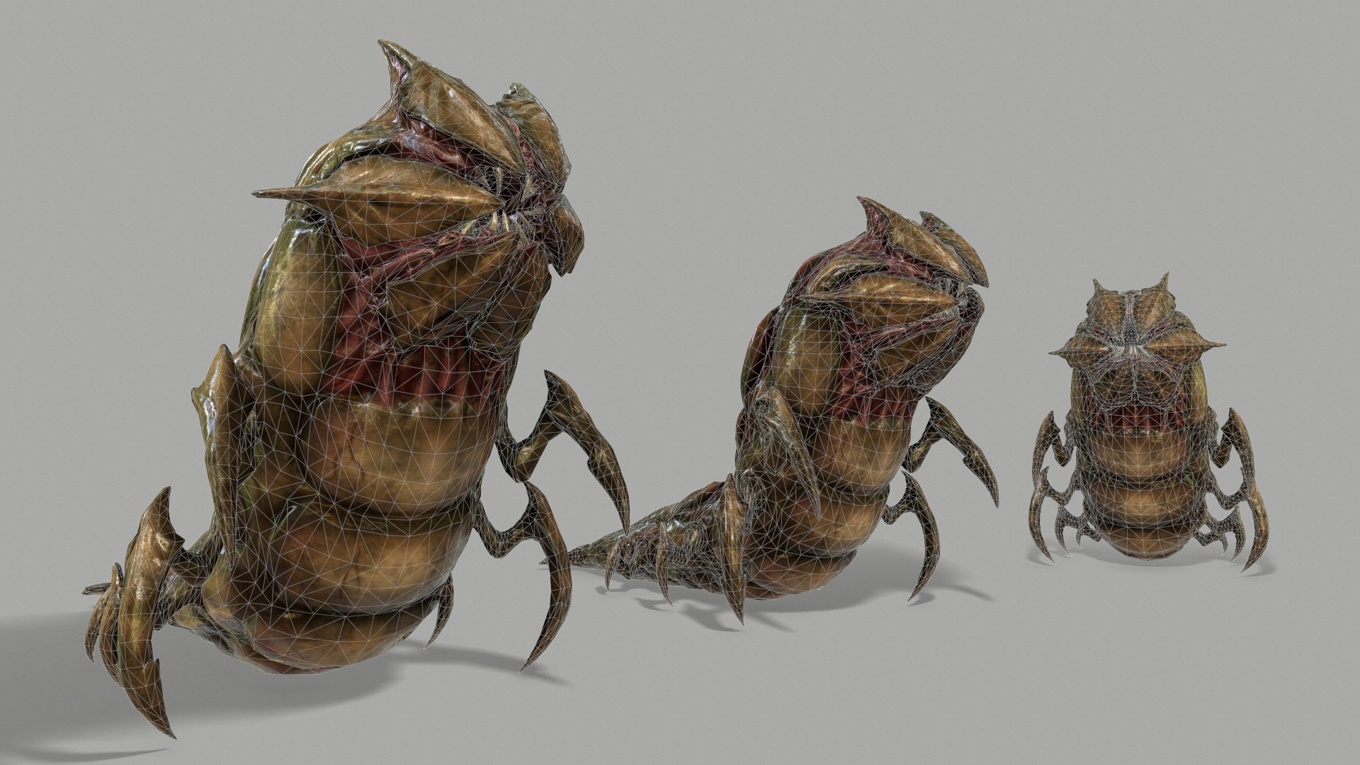 3D Worm Big Model - TurboSquid 1390842