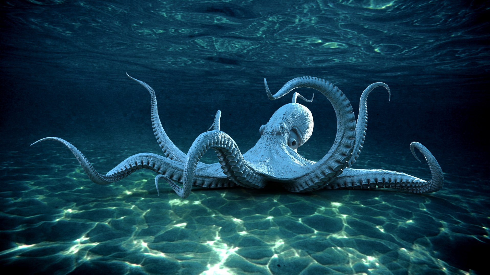 Giant Octopus RIG Model - TurboSquid 2350351