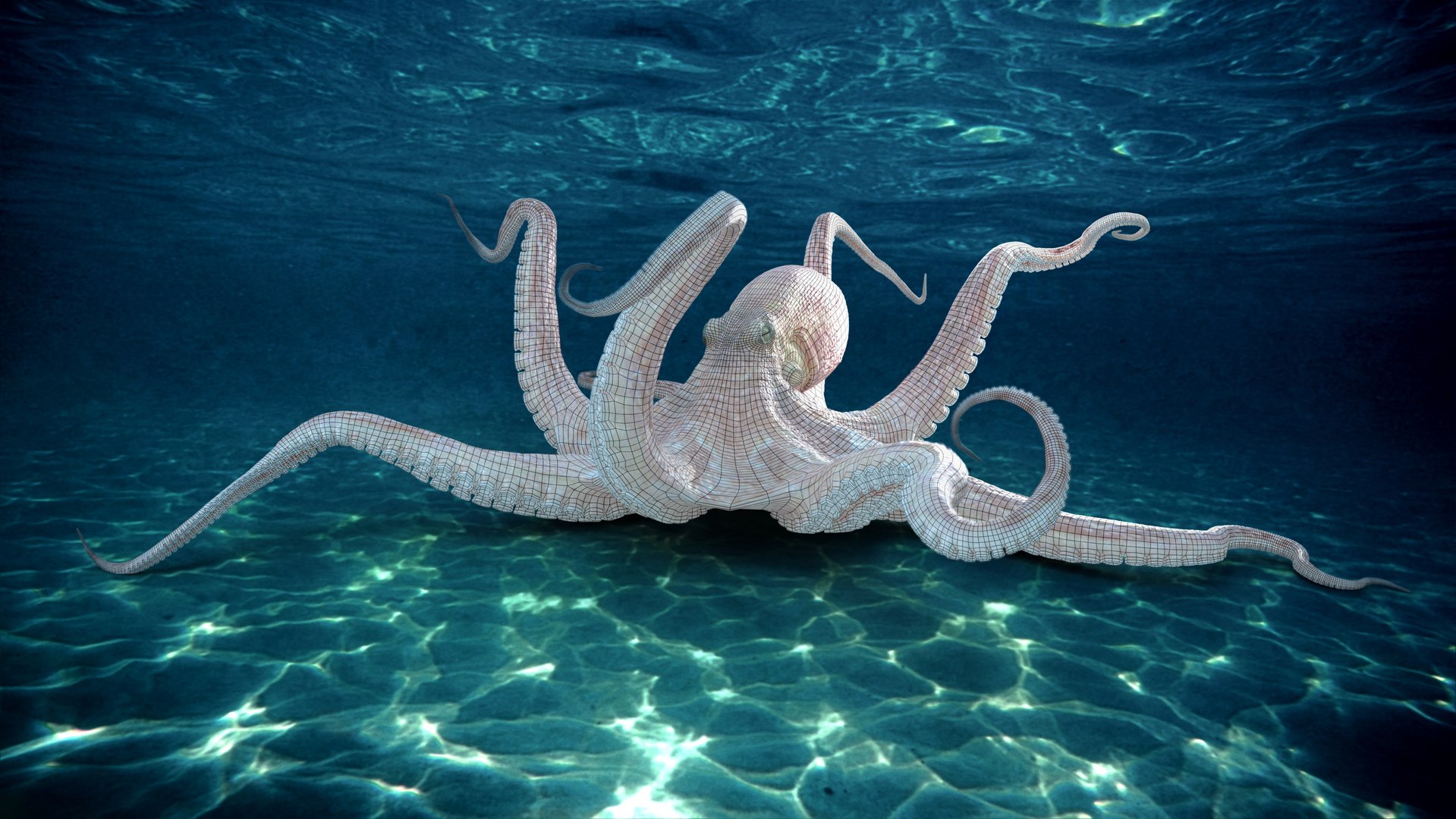 Giant Octopus RIG Model - TurboSquid 2350351
