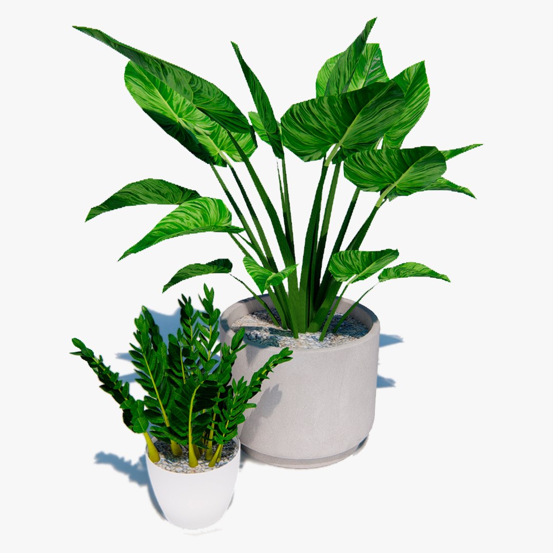 Lumion Ready - Two Potted Plants Model - TurboSquid 2092807