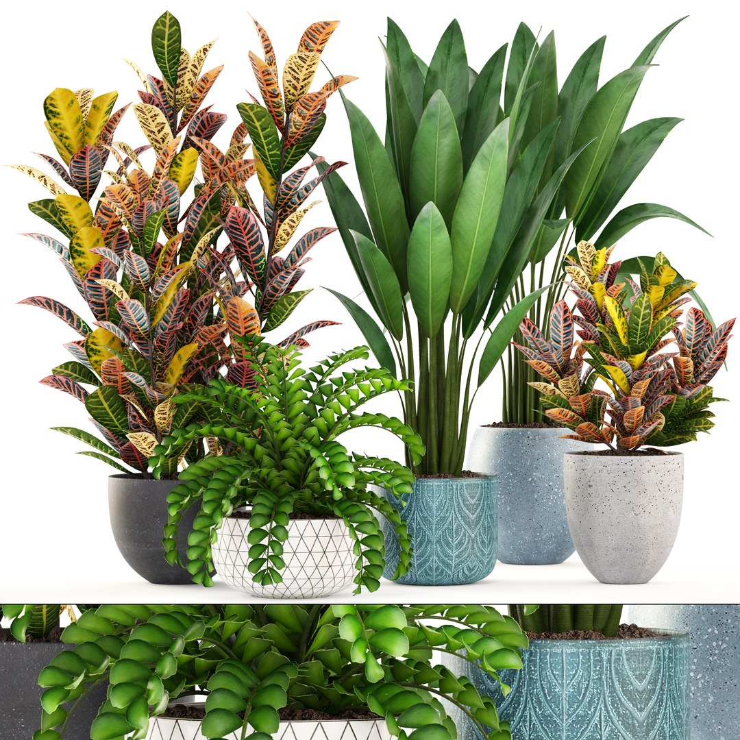 Plants Pots Model - TurboSquid 1273126