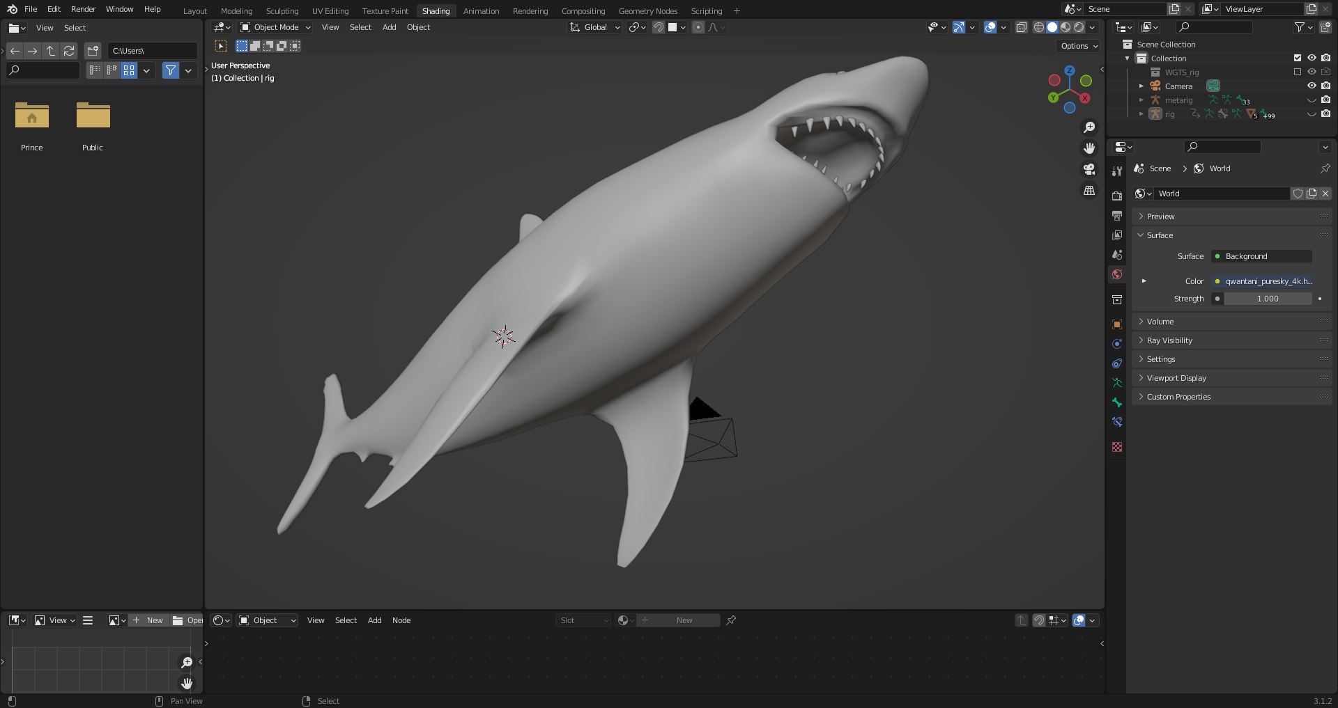 3D Great White Shark Rigged In Blender - TurboSquid 2009419