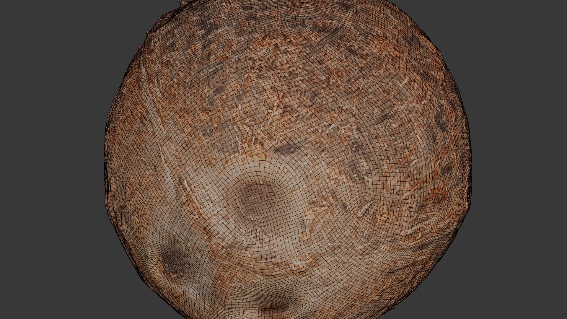 Realistic Coconut 3D Model 3D Model - TurboSquid 2396188