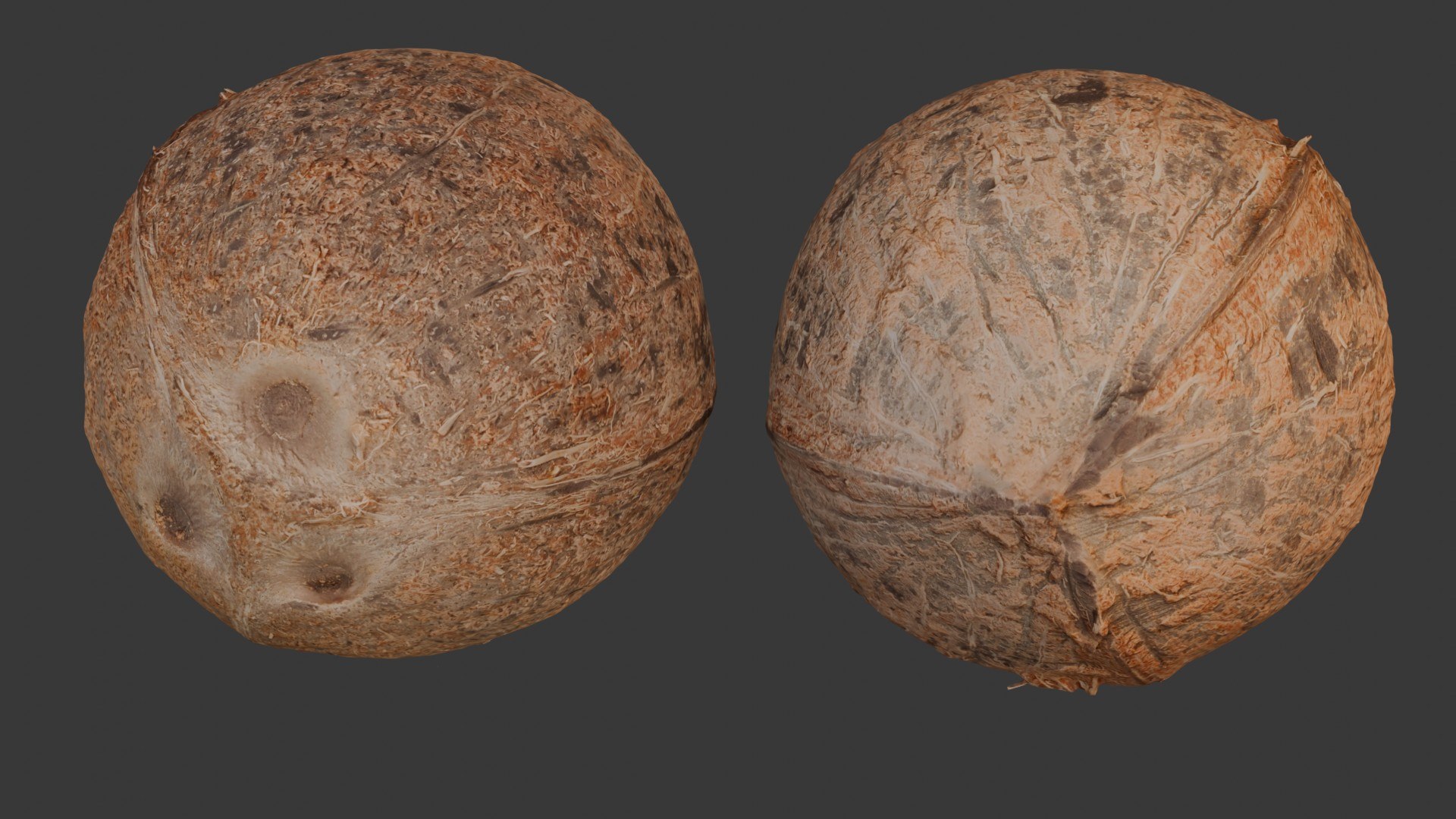 Realistic Coconut 3D Model 3D Model - TurboSquid 2396188