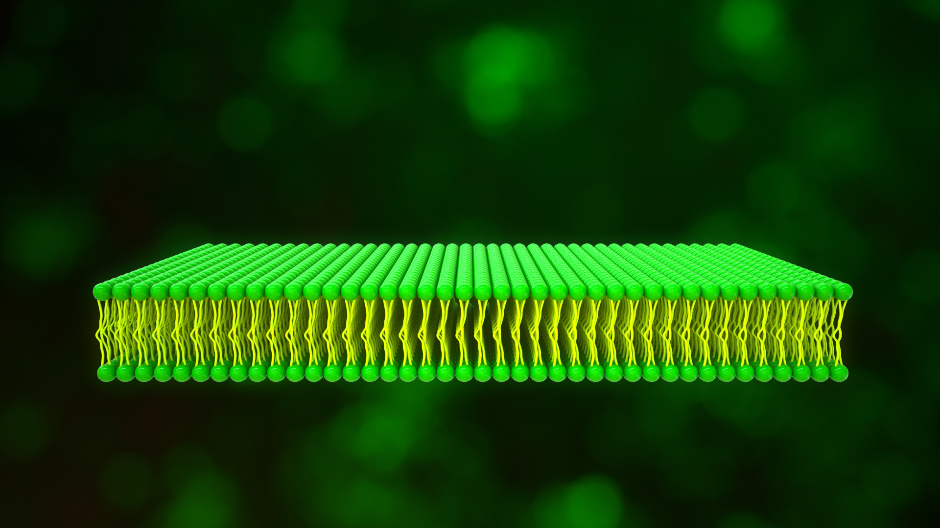 3D Lipids Broad Group Of Organic Compounds - TurboSquid 2186210