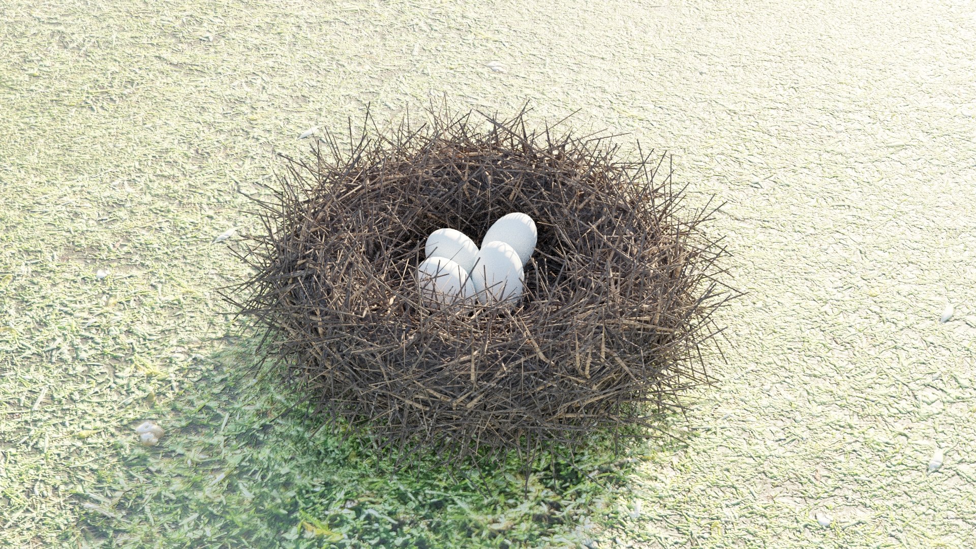 BIRDs NEST 3D Model - TurboSquid 1811647