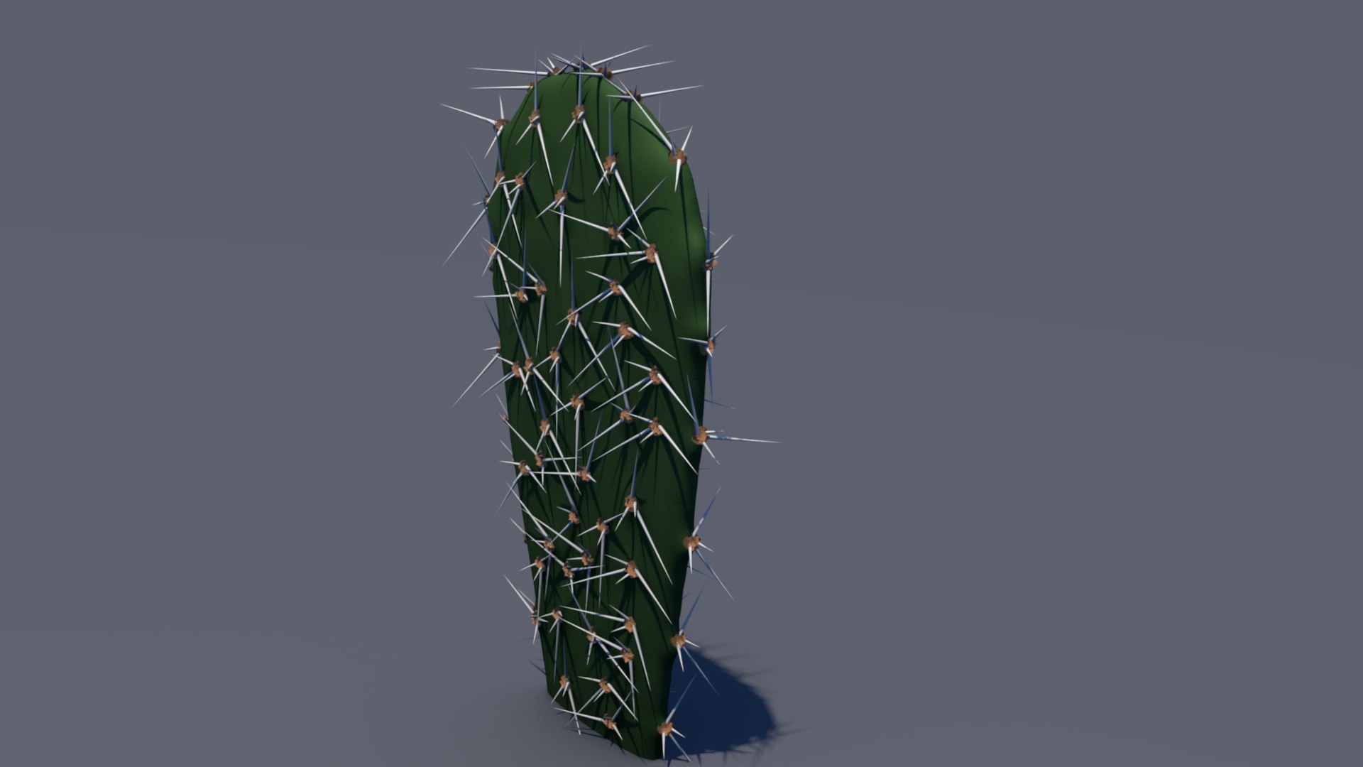 Nopal 3D Model - TurboSquid 1566297