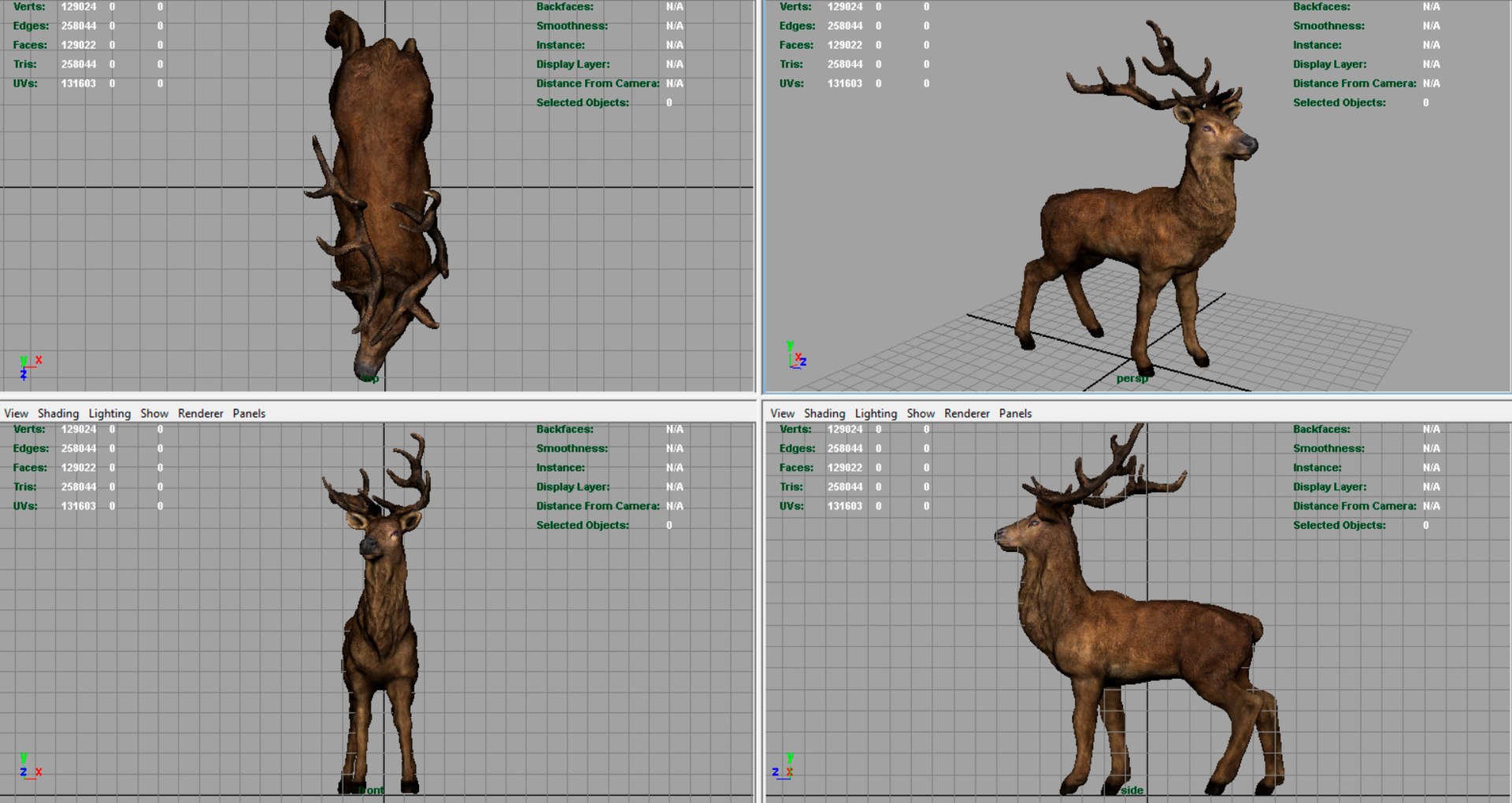 3D Model Realistic Deer - TurboSquid 1397524
