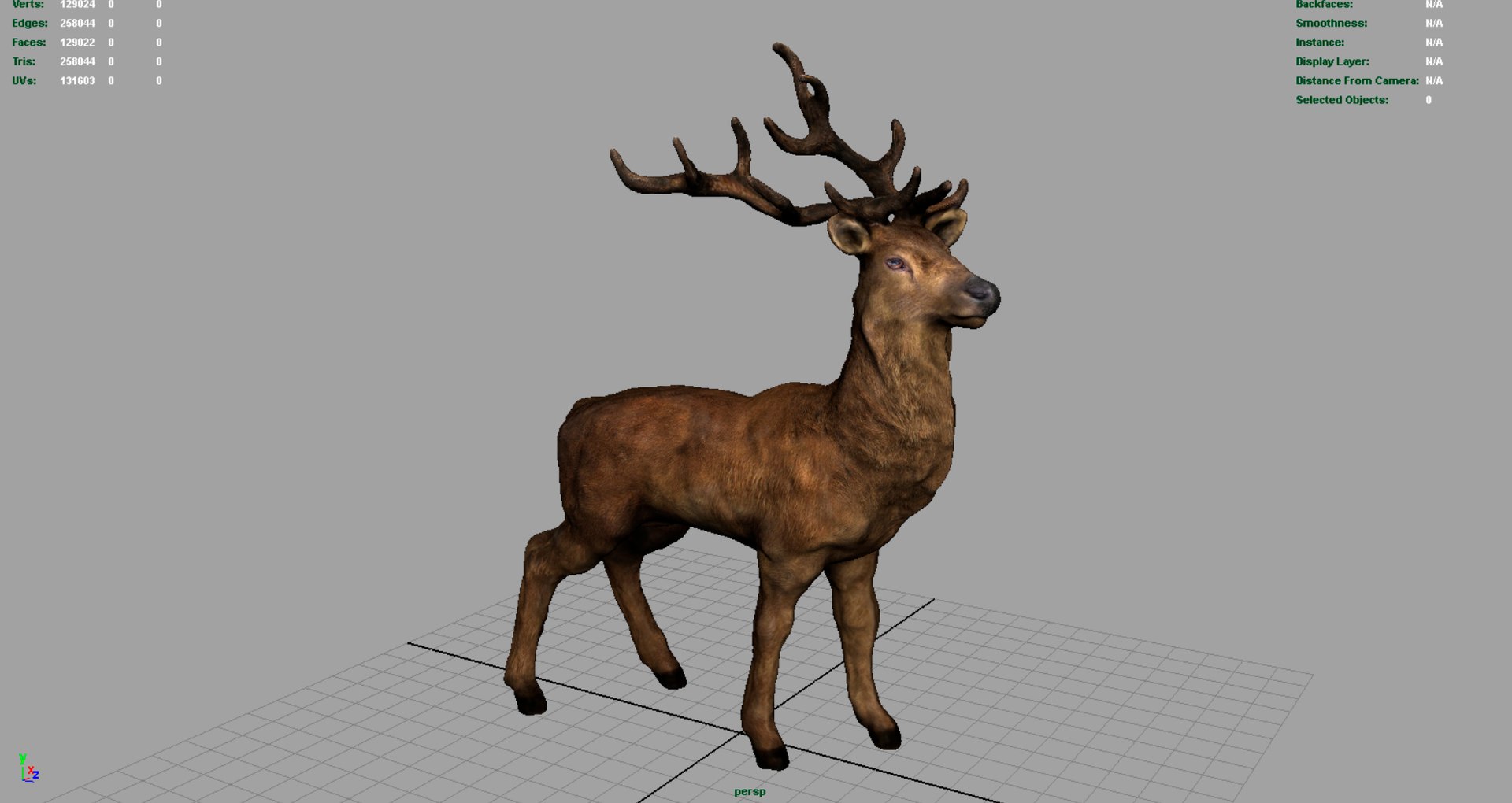 3D Model Realistic Deer - TurboSquid 1397524