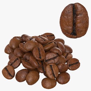 3D Coffee Bean Models - Browse & Download Formats - TurboSquid