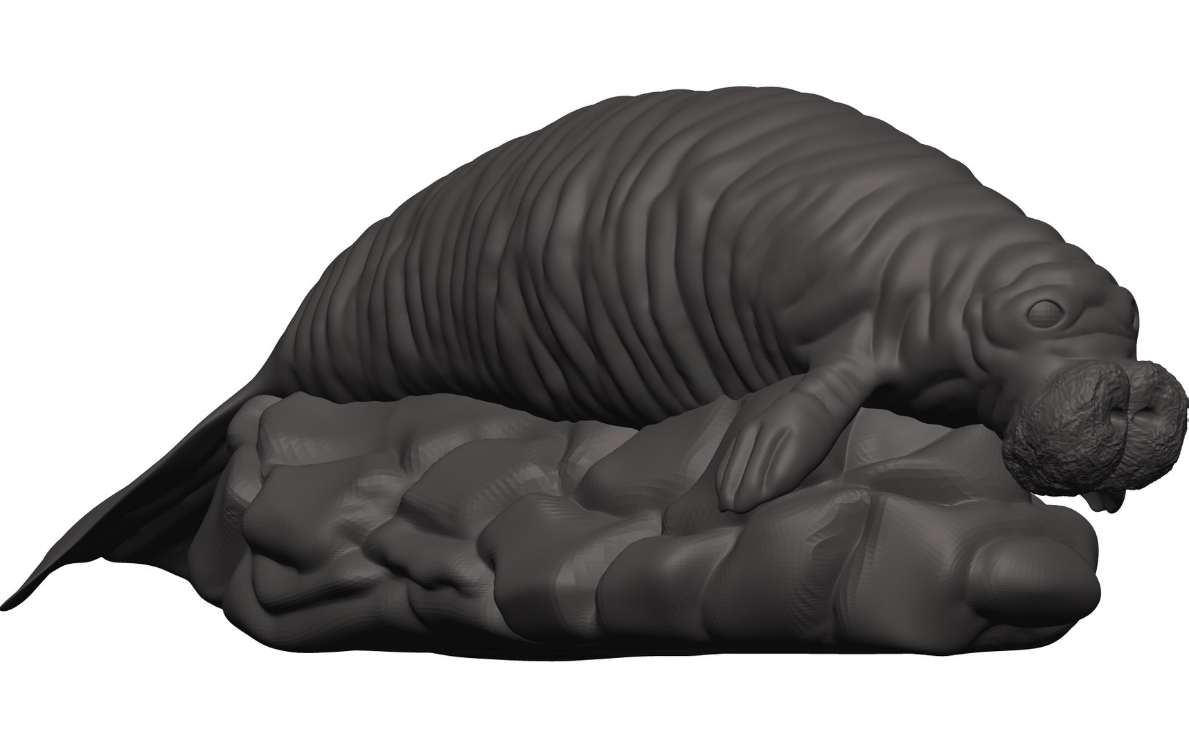 3D Manatee - TurboSquid 1850420