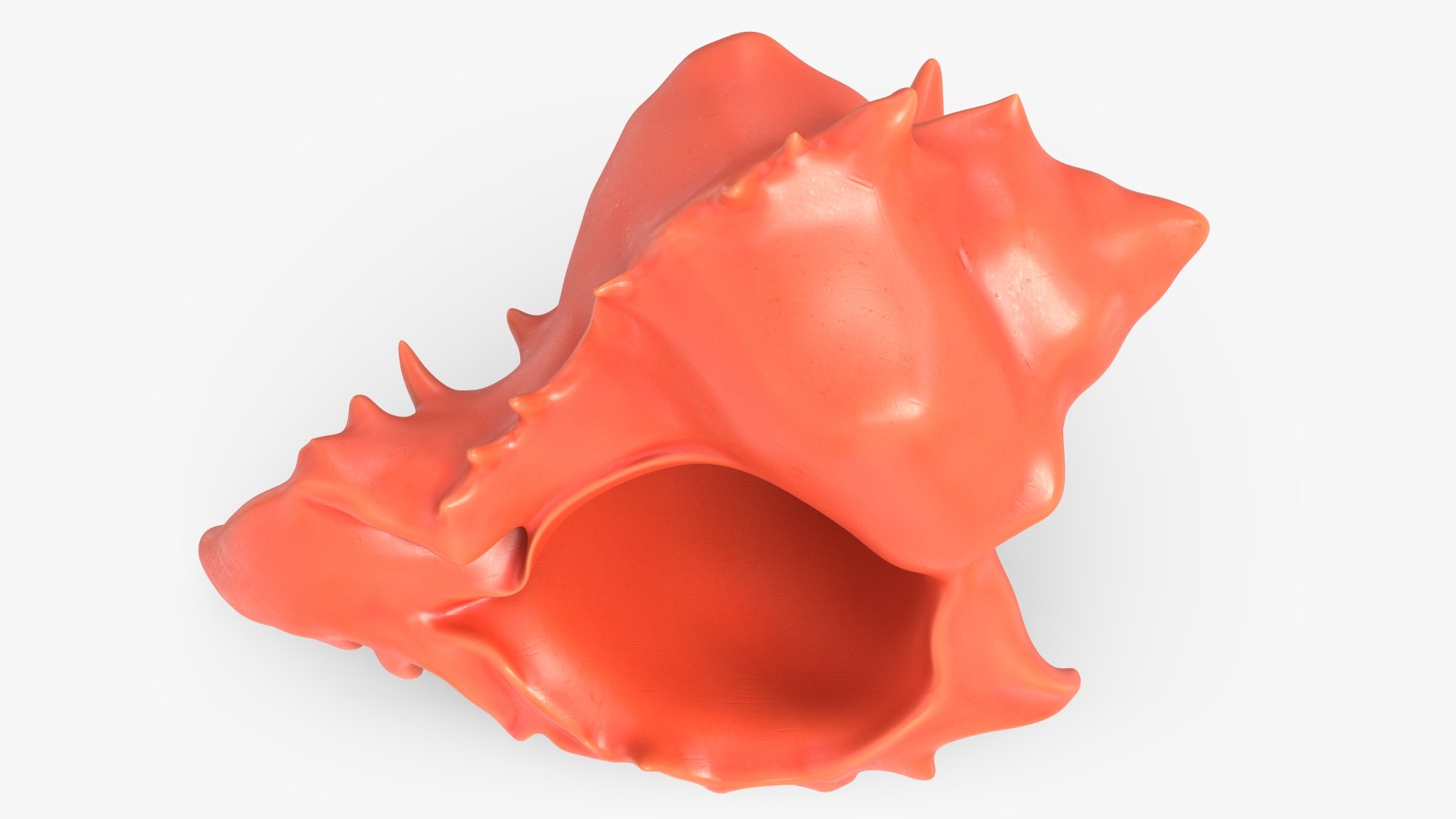 3D Model Big Sea Shell Plastic Toy - TurboSquid 1996552