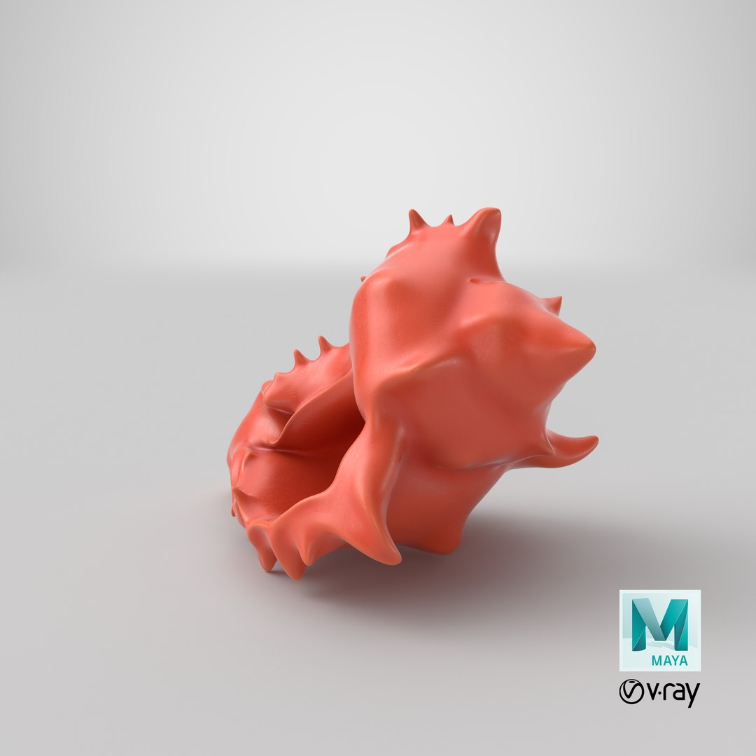 3D Model Big Sea Shell Plastic Toy - TurboSquid 1996552