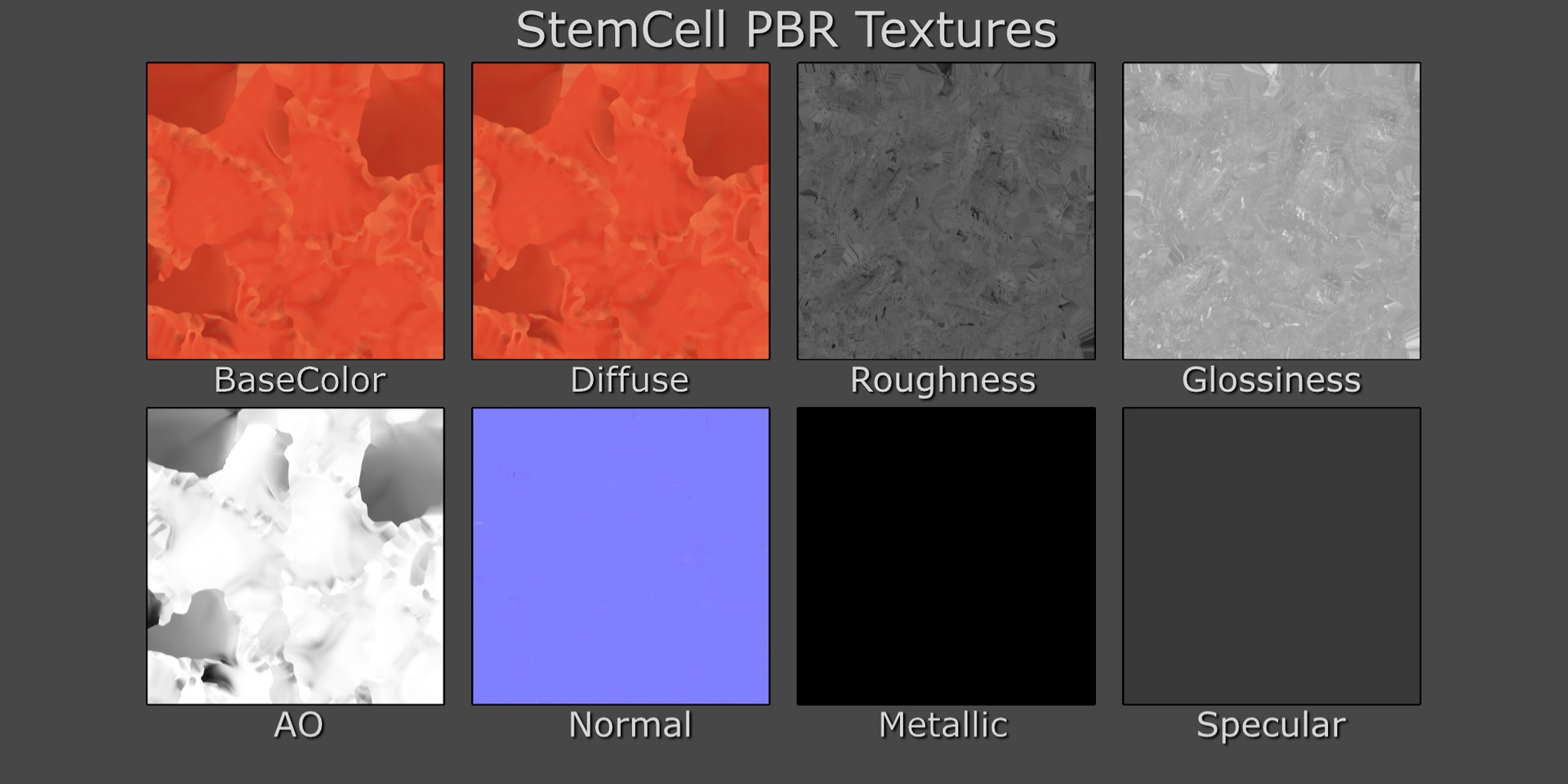 3D model Big Sea Shell Plastic Toy - TurboSquid 1996552