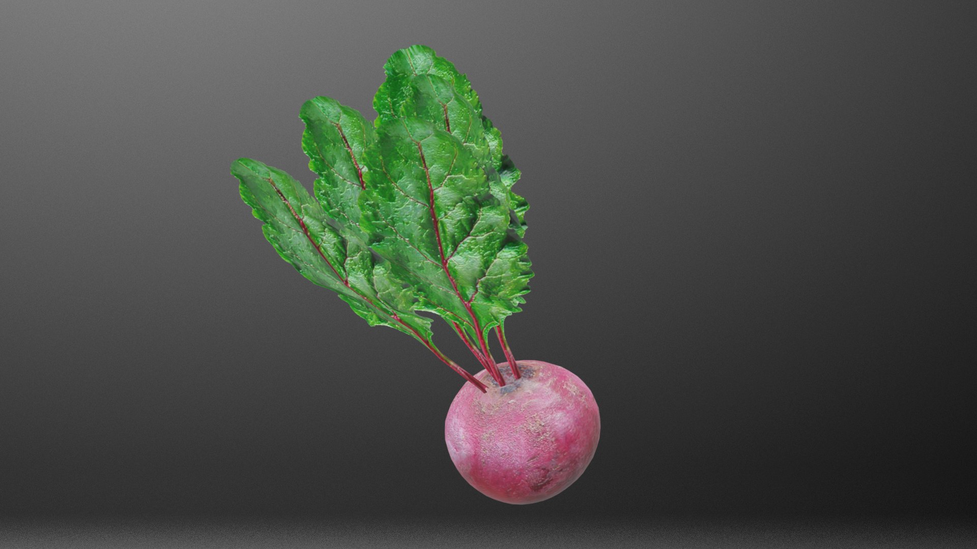 3D Beetroot Model - TurboSquid 1838004