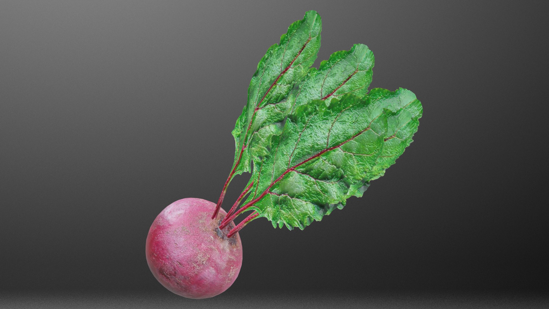 3D Beetroot Model - TurboSquid 1838004