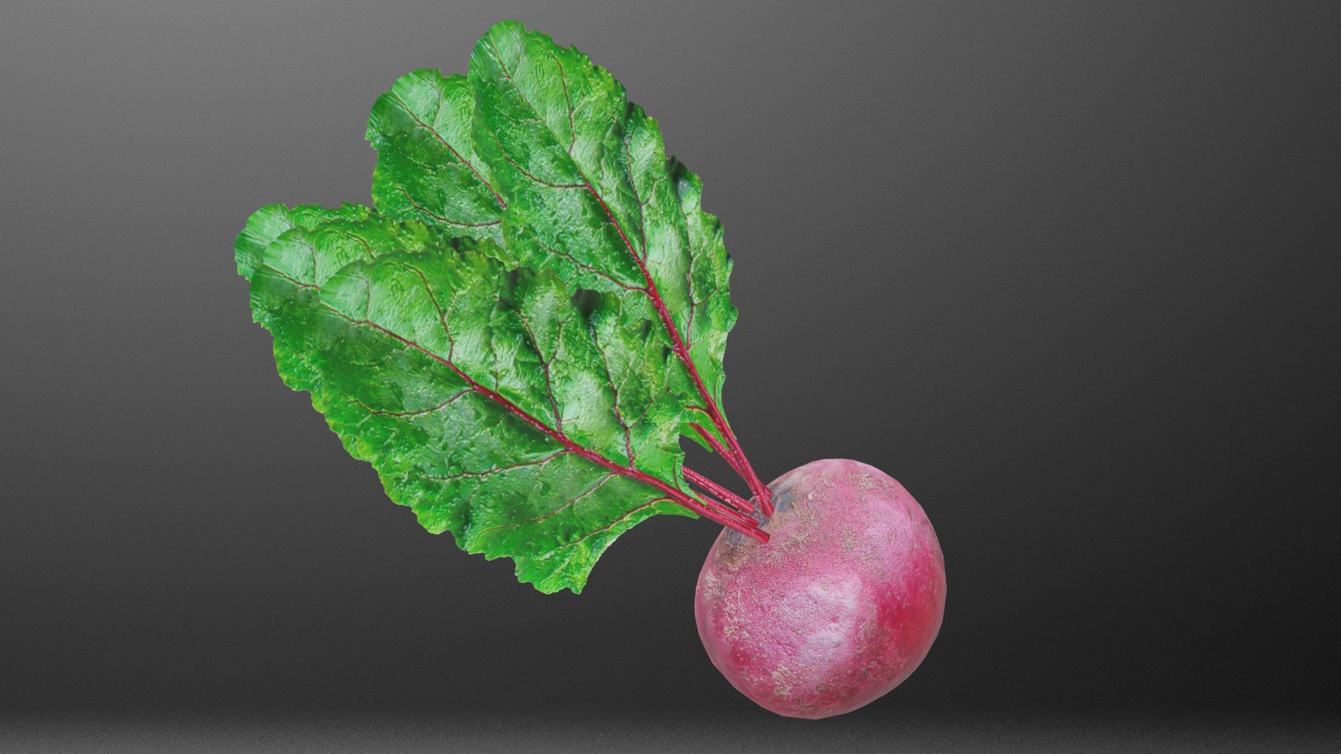 3D Beetroot Model - TurboSquid 1838004