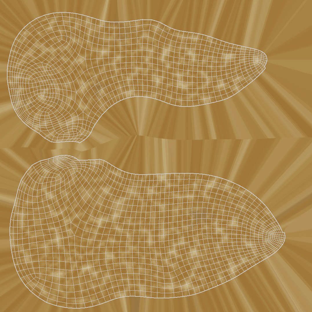 3D Human Anatomy-Small Intestine Model - TurboSquid 2230081