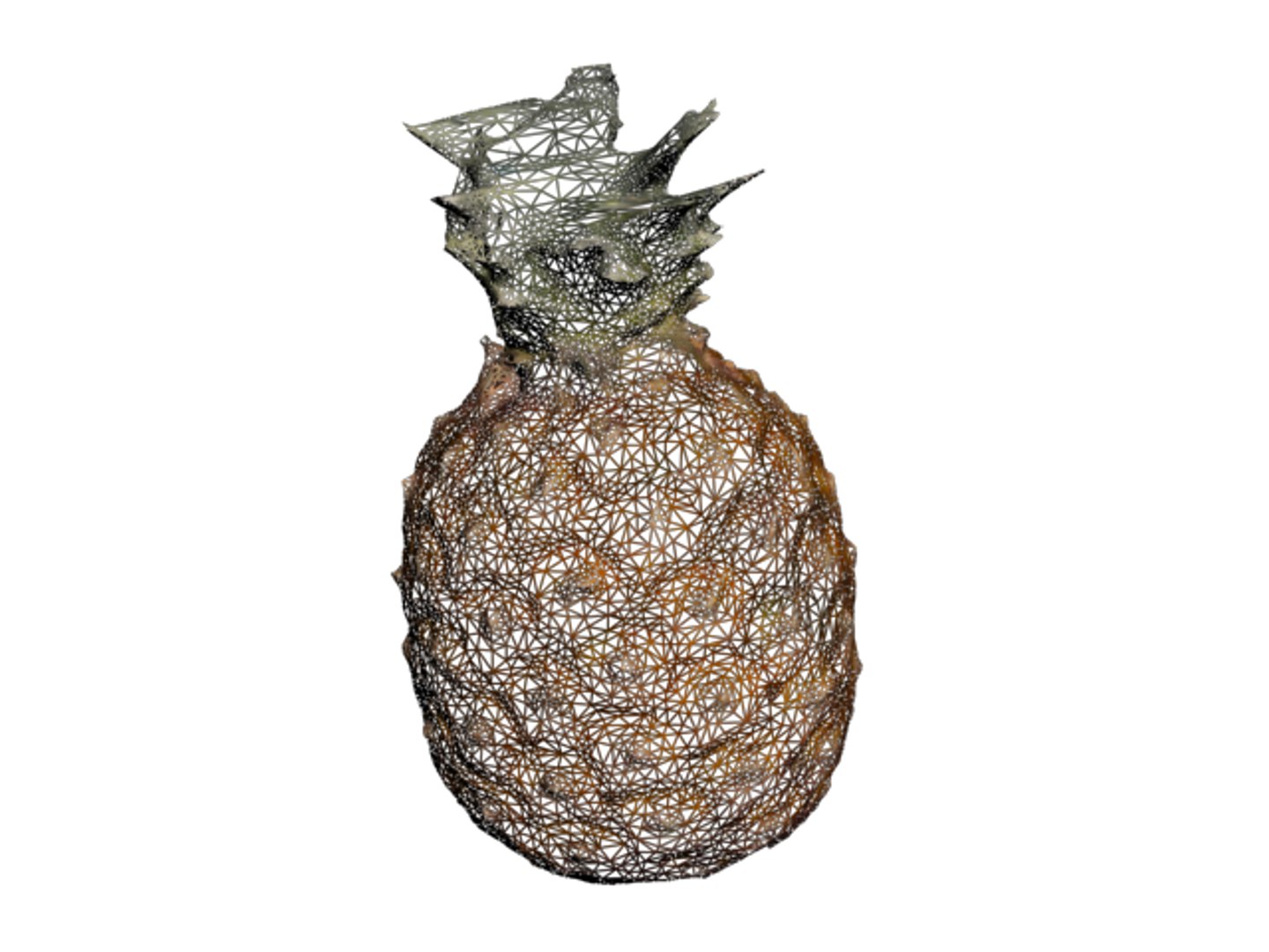 3d Model Accurate Pineapple
