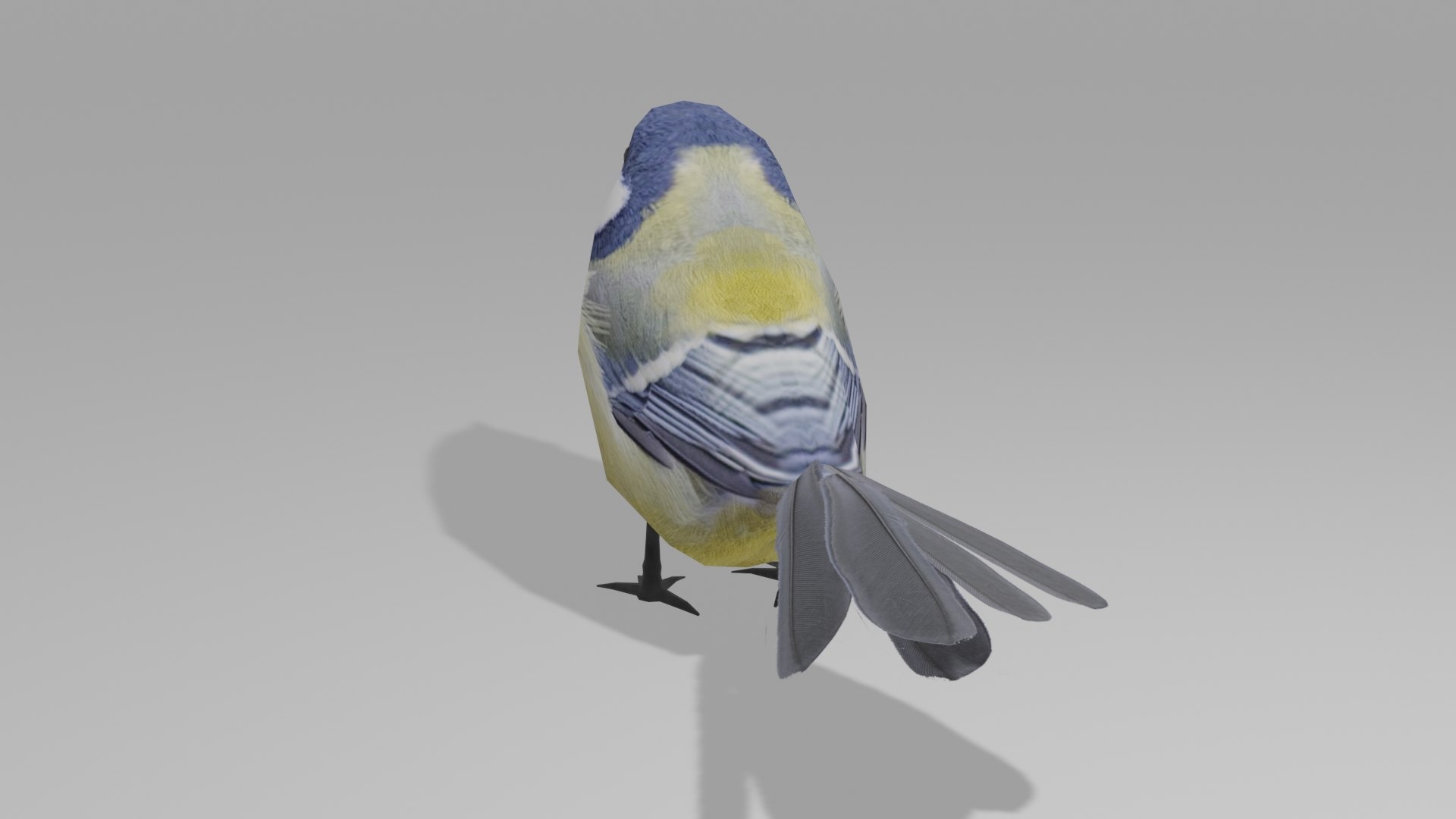 Birb 3D Model - TurboSquid 2004765