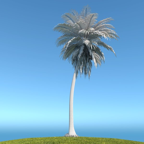 realistic coconut palm tree 3d max